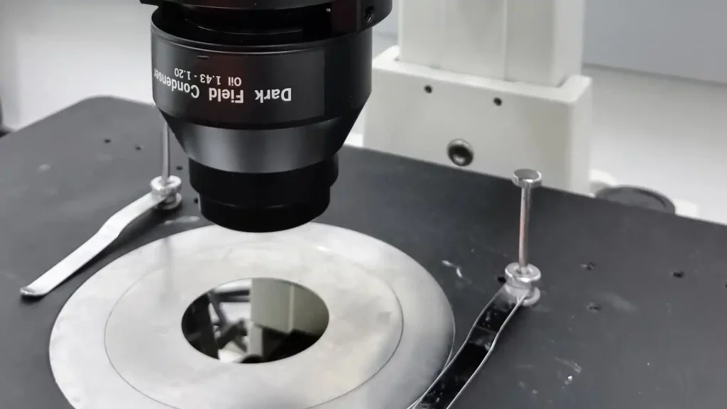 The Ideal Lab Setup for Microbiology Research and Development - Rubicon ...