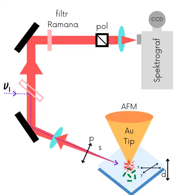 An Overview Of Tip-enhanced Raman Spectroscopy - Rubicon Science