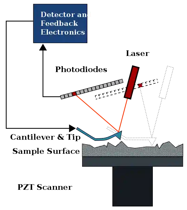 An Overview of Atomic Force Microscopy - Rubicon Science